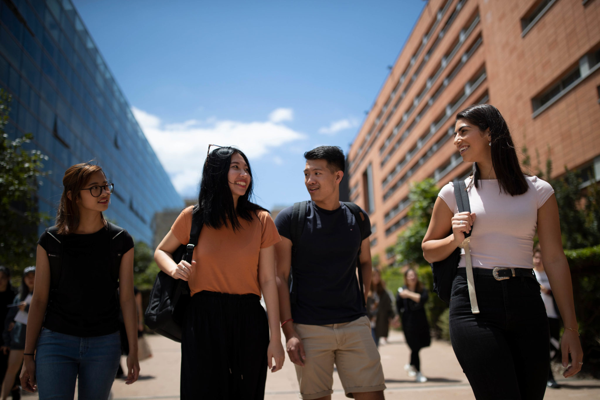 Foundation Studies – Standard Plus Program – UNSW College Current ...