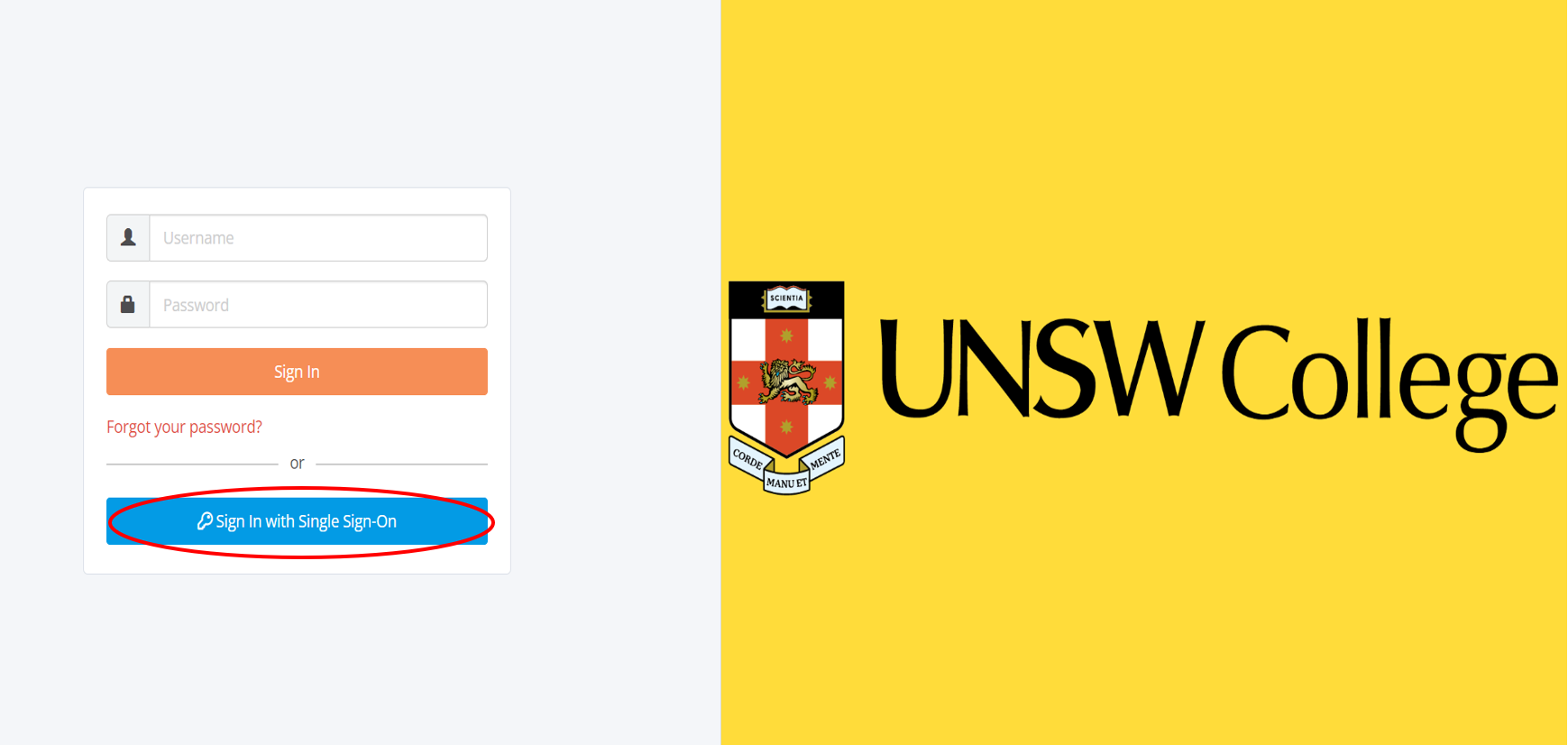 Set Up Your Student Accounts – UNSW College Current Students Website